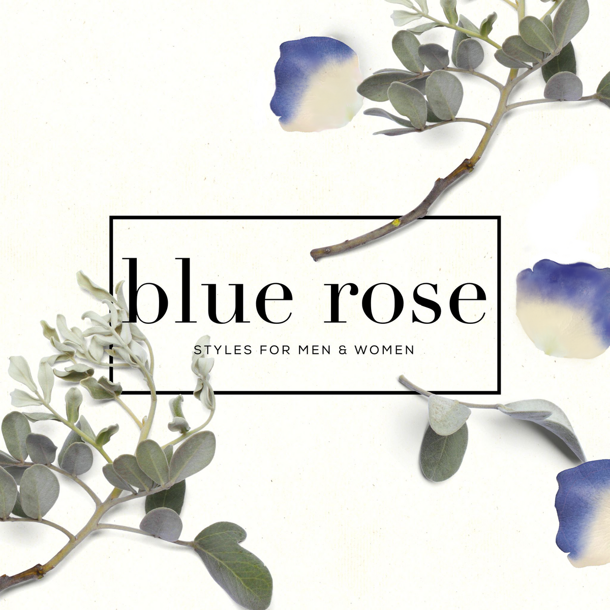 The Blue Rose - Shop Online for Designer Clothing